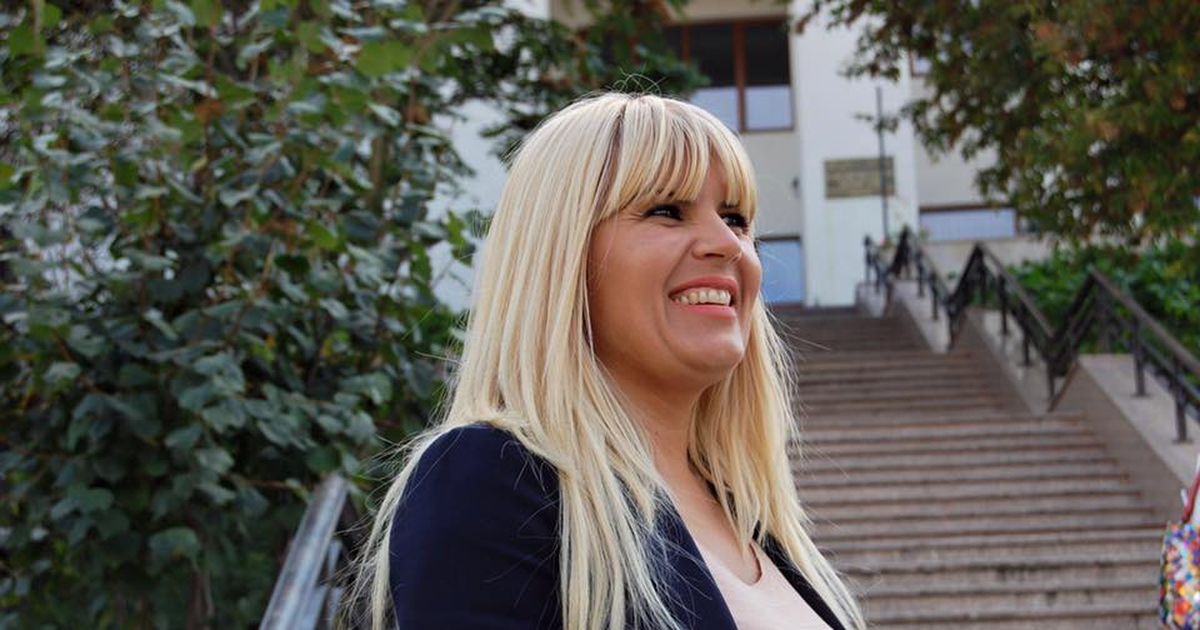 Cât costă cea mai scumpă geantă din garderoba Elenei Udrea! A spus suma ...