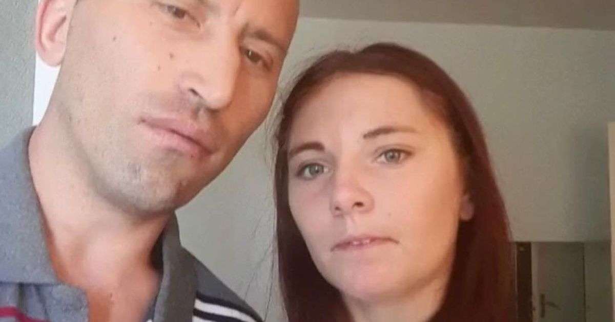 VIDEO. Vulpița a rămas tot jucăușă. Ce a putut să facă Veronica pe la ...