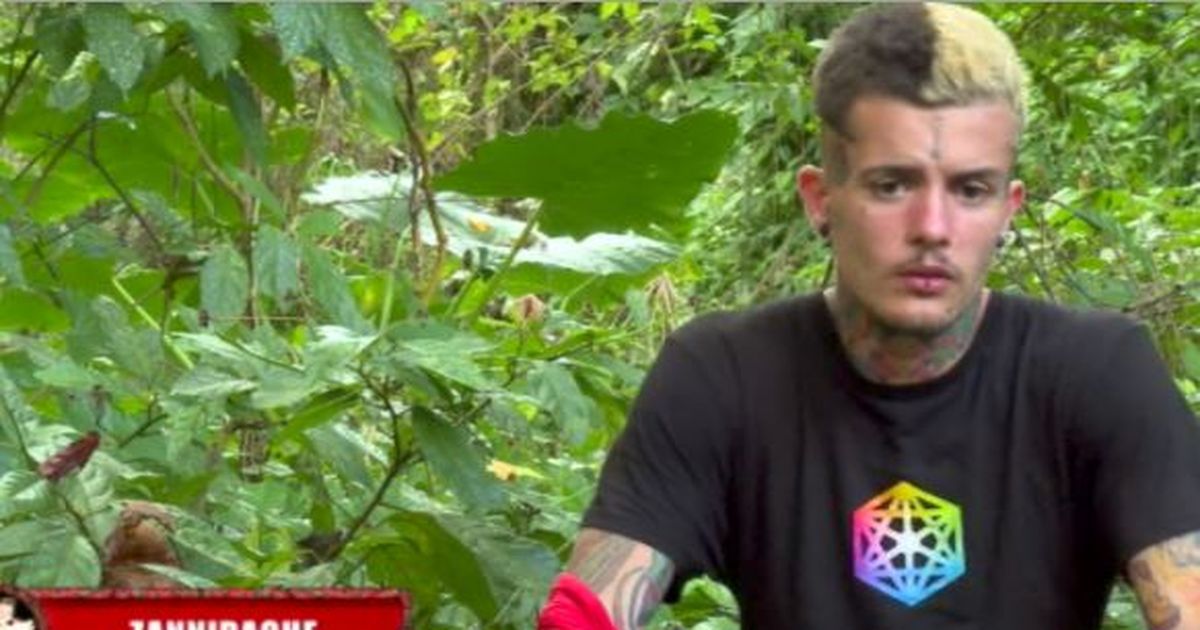 Zanni de la Survivor, atac la adresa lui Jador! Cei doi au ajuns la ...
