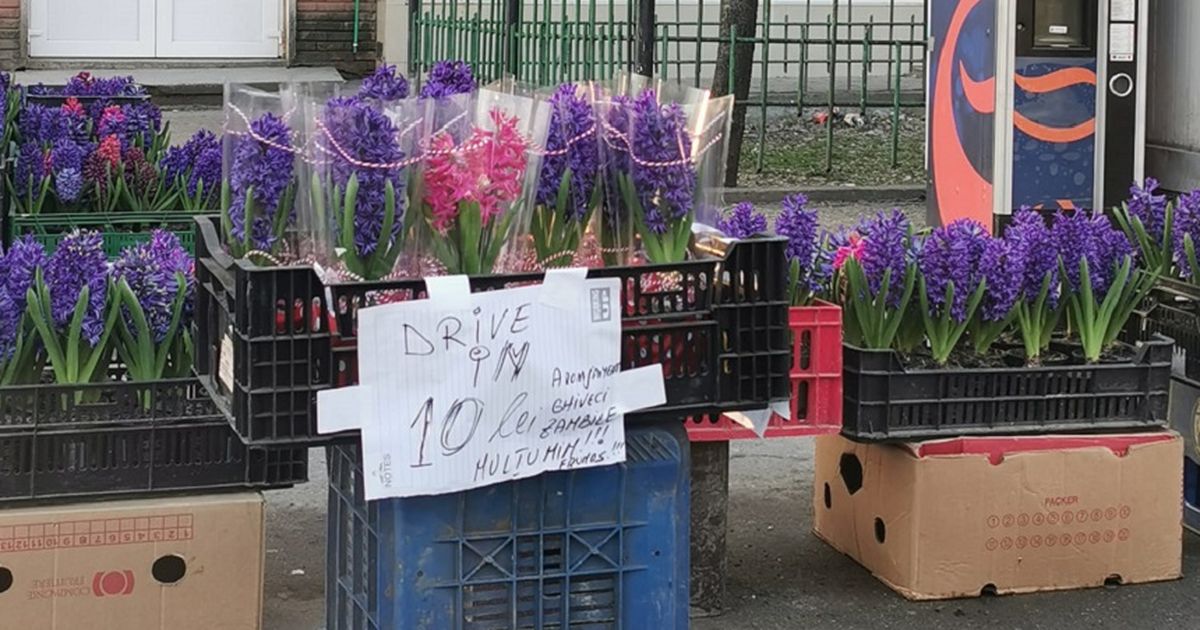 O vânzătoare de zambile s-a adaptat pandemiei și a găsit o metodă unică ...