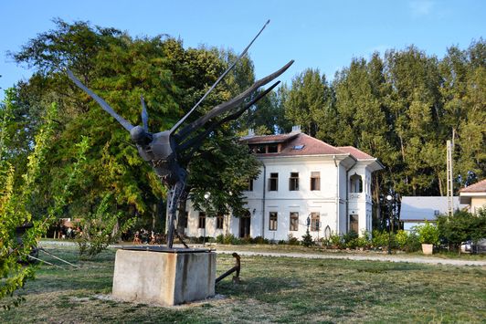 Dezastru pentru Mircea Dinescu! Poetul a rămas fără portul de la Dunăre ...
