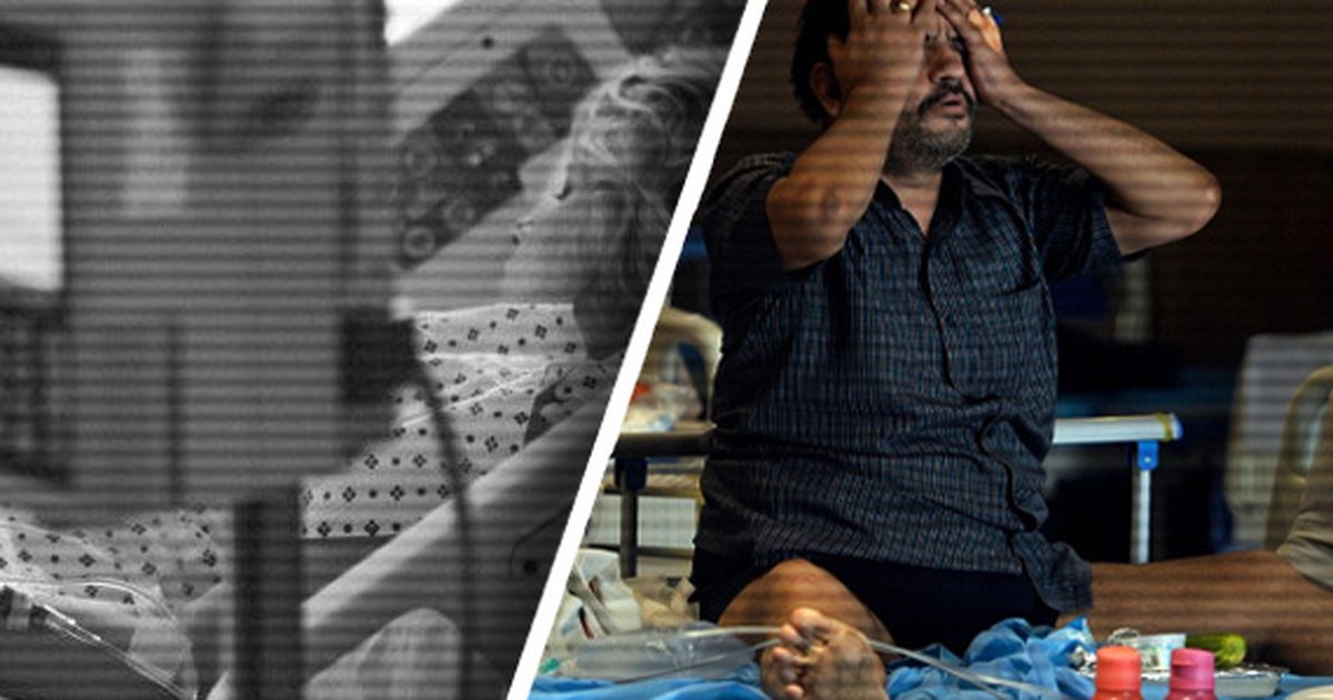 „Ciuperca neagră” care atacă pacienții COVID din India, la un pas de a ...