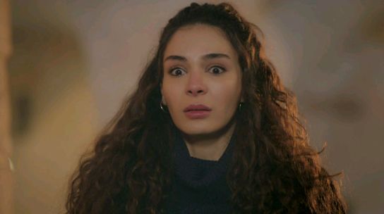 In aceasta seara, de la ora 20:00, in “Hercai” Dilsah se razbuna pe ...