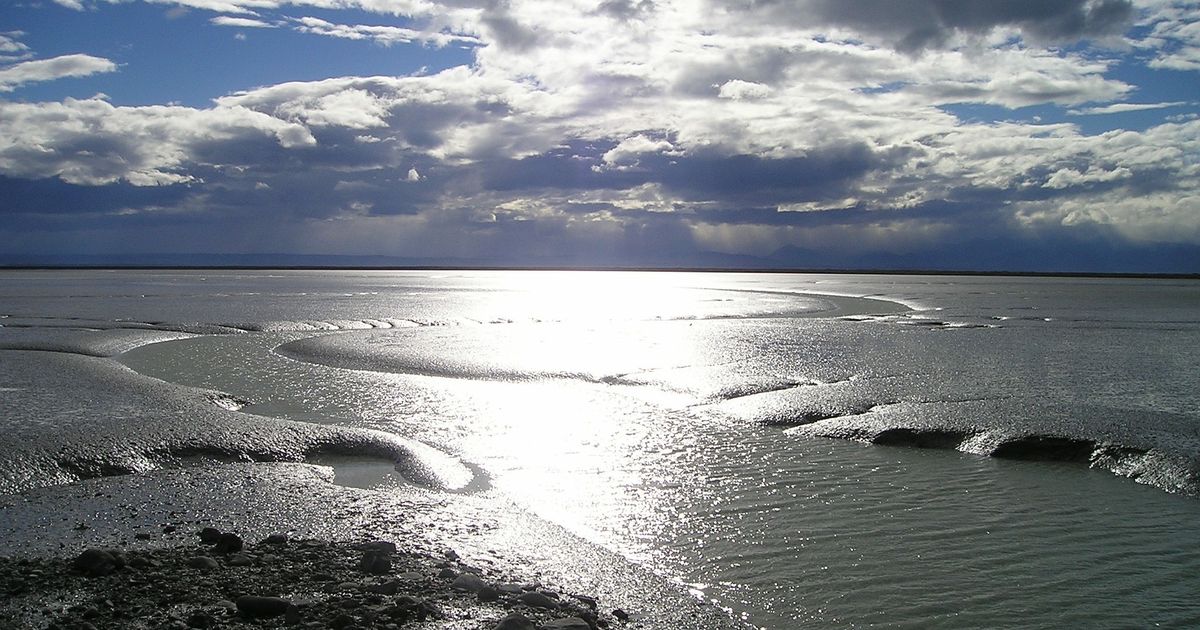 Marea Wadden. Google a creat un doodle special pentru a celebra Marea ...