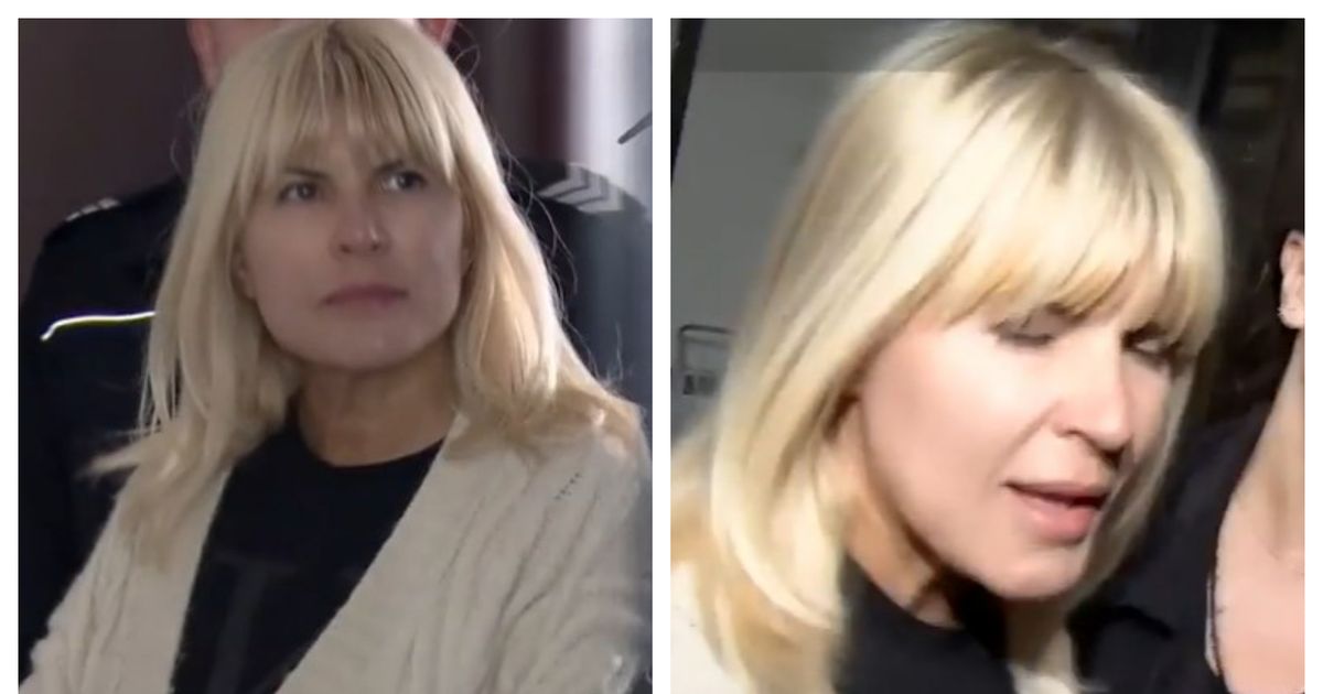 Extrădarea Elenei Udrea, amânată! Fostul ministru a izbucnit în lacrimi în fața judecătorilor ...