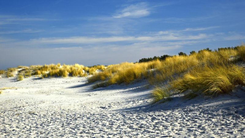 Plajă sălbatică din România la doar 70 de kilometri de București ...