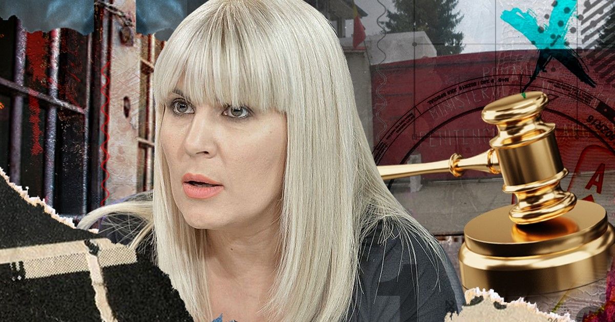 Elena Udrea ar putea ieși din pușcărie mai repede decât și-ar fi imaginat. Ce au plănuit ...