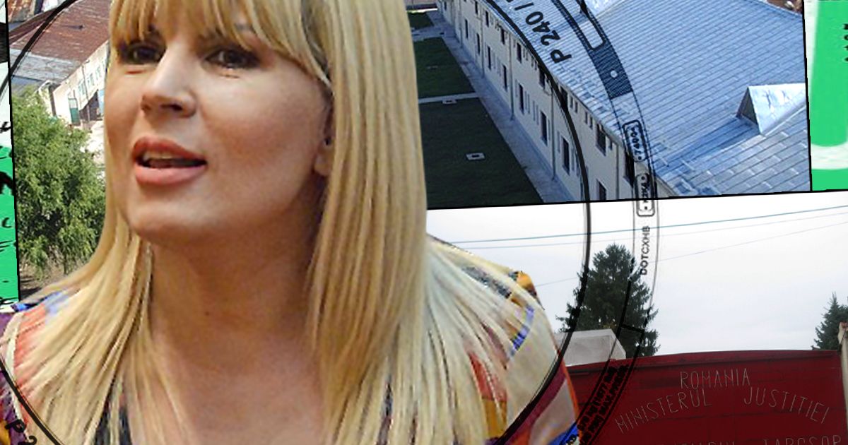 Dovada că Elena Udrea vrea să muncească în penitenciar! Ce mesaj a transmis din spatele ...