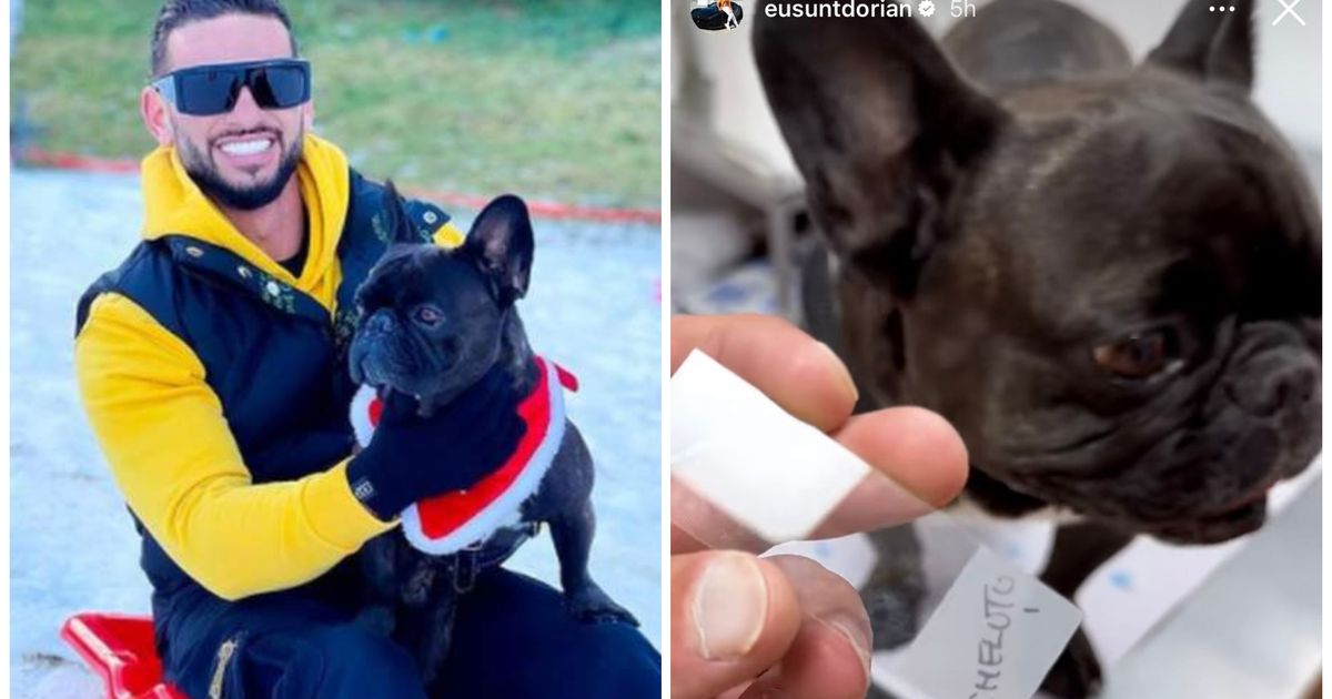 Cheluțu’, câinele lui Dorian Popa, a ajuns pe mâna medicilor veterinari ...