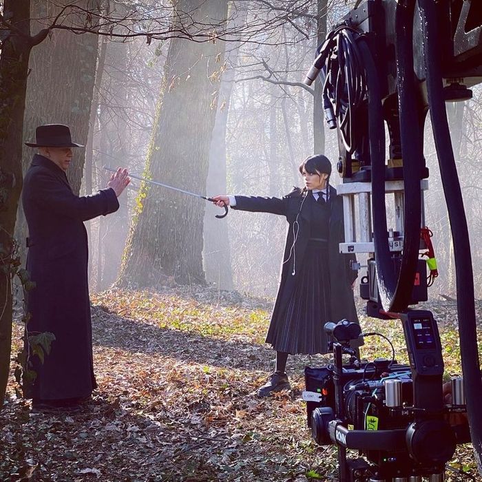 În ce locații din România s-a filmat serialul „Wednesday". Castelul ...