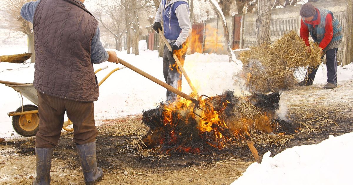 Ce obiceiuri sunt lăsate de Ignat 2022. Cel mai popular este tăierea ...