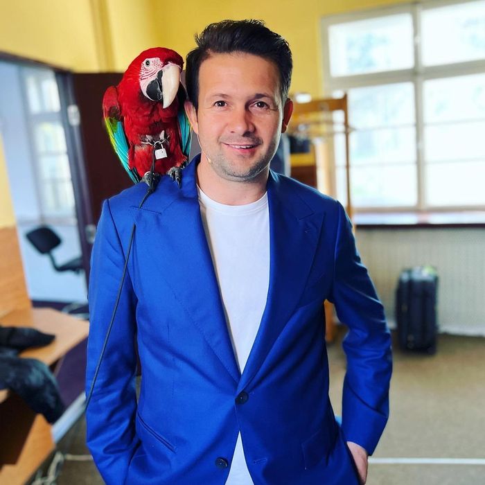 Cine este și cu ce se ocupă Robert Tudor. Biografie: vârstă, familie ...