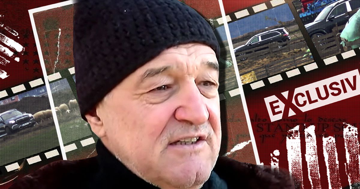 Gigi Becali vine cu faza anului 2023! Latifundiarul din Pipera se ...