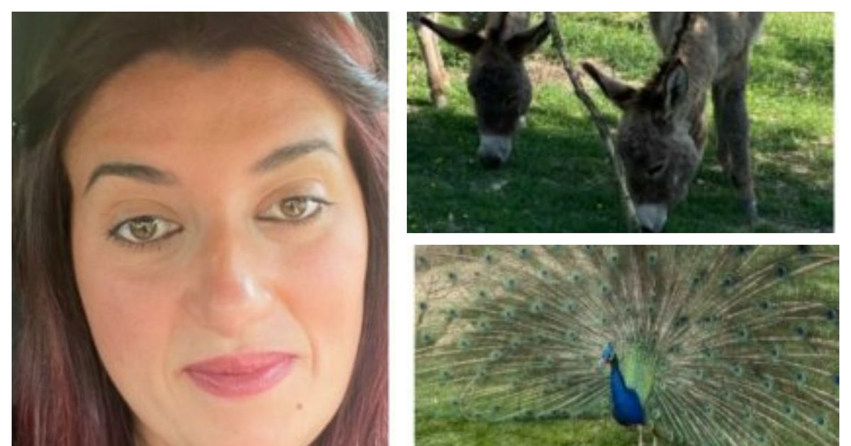 Mihaela și-a pus toate economiile la „bătaie” și și-a deschis propria ...