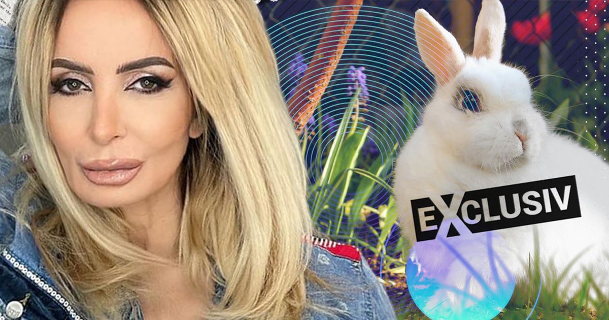 Daniela Gyorfi, harnică chiar și de sărbători! Artista are deja ...