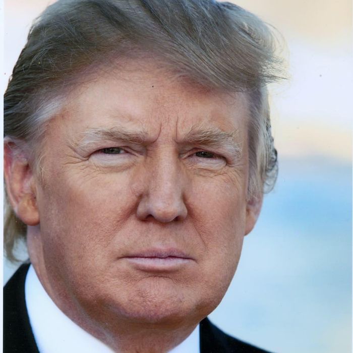 Cine este Donald Trump. Biografie: vârstă, carieră, familie. Fostul ...