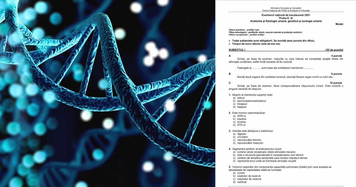 SUBIECTE Biologie, Chimie, Fizică și Informatică BAC 2023. EDU.RO a ...