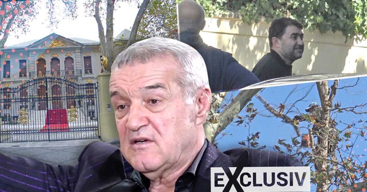Avem imagini de senzație, chiar din fața casei lui Gigi Becali ...