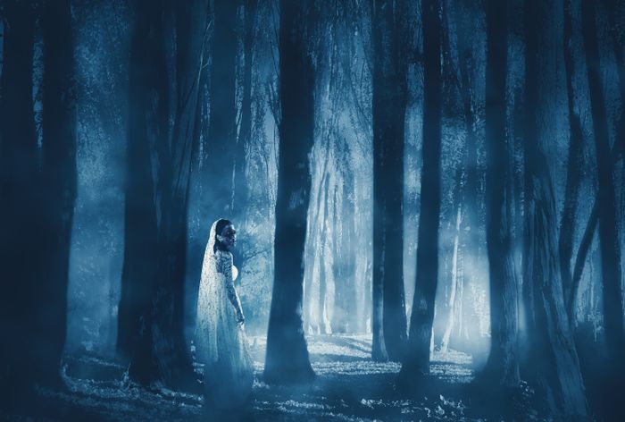 Halloween 2023: Povești despre fantome reale: Întâlniri cu lumea de dincolo - WOWBiz