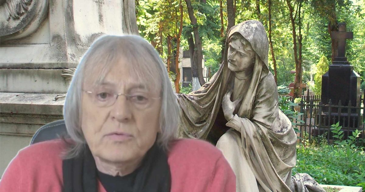 Cine a fost Mihai Constantinescu? Biografie: studii, carieră, familie ...