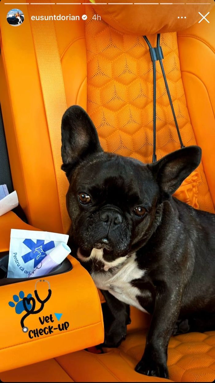 La cine a rămas Cheluțu, după despărțirea dintre Babs și Dorian Popa ...