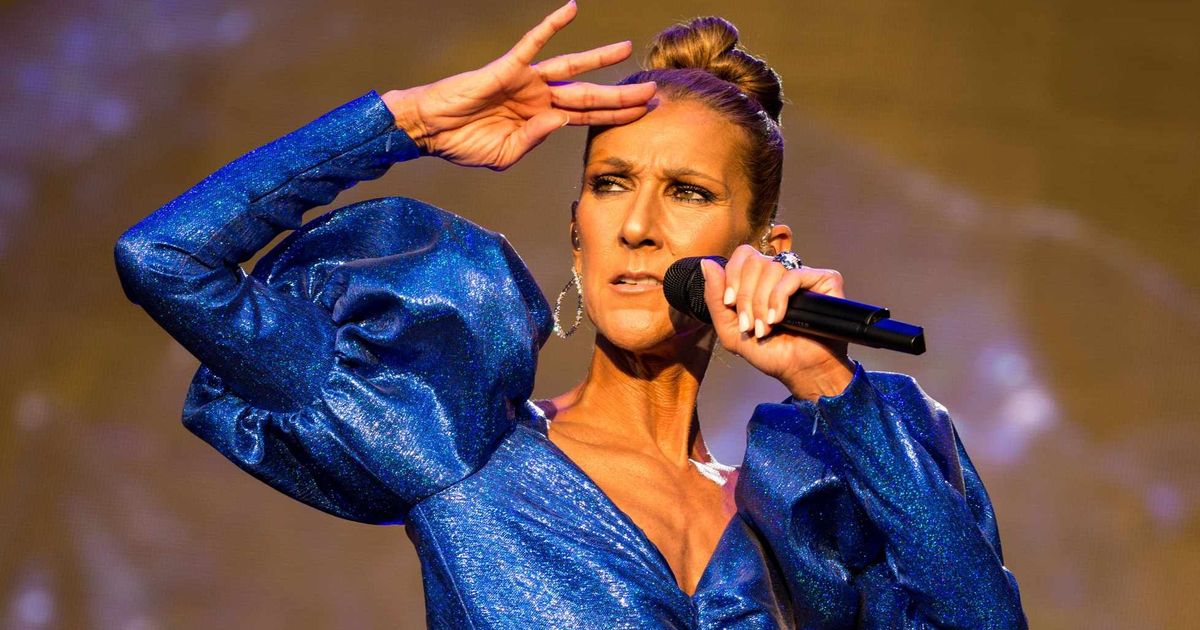 Cine este Celine Dion? Biografie: vârstă, carieră, familie. Celebra ...