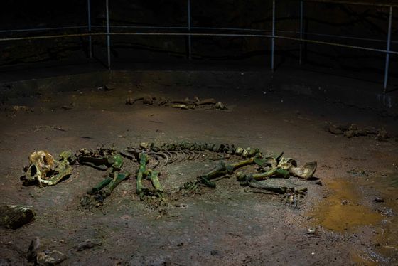 Top 10 cele mai frumoase peșteri din România. FOTO - WOWbiz.ro