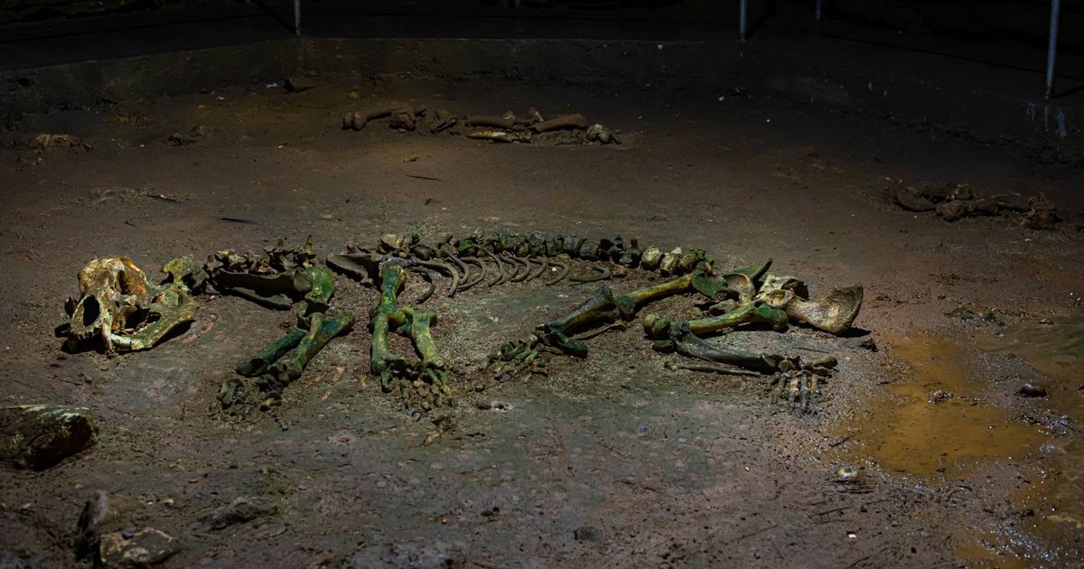 Top 10 cele mai frumoase peșteri din România. FOTO - WOWbiz.ro