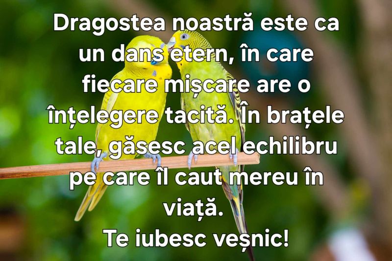 Felicitări de Dragobete 2024. Poze cu text și urări cu „Dragobete ...