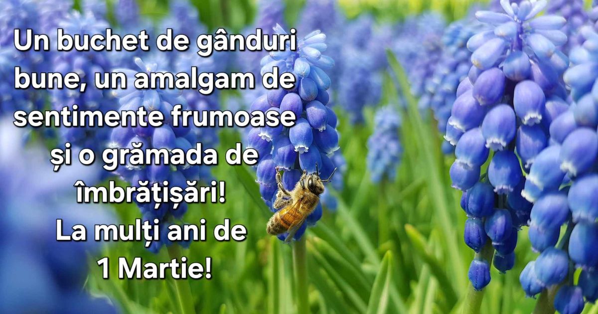 O primăvară frumoasă! Mesaje și felicitări de 1 Martie 2024: „Un mic ...