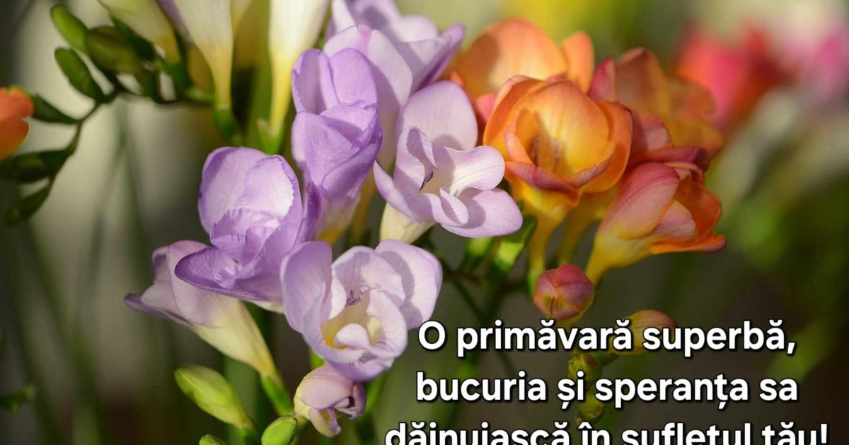 Urări pentru 1 martie 2024. Vezi cele mai frumoase felicitări de ...