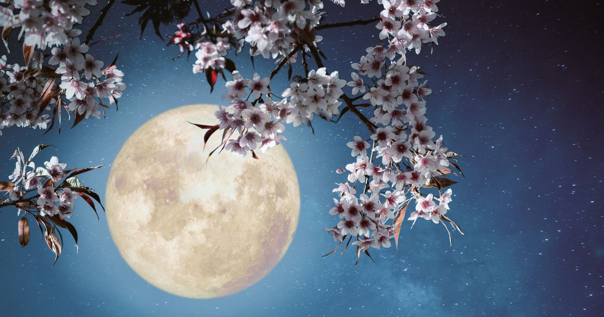 Fazele Lunii aprilie 2024. Vezi când are loc următoarea Lună Plină - WOWBiz