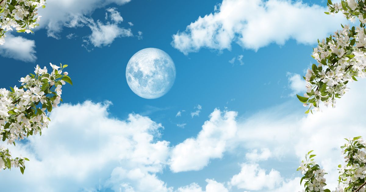 Fazele lunii mai 2024. Perioada sinodică se repetă la 29,5 zile - WOWBiz