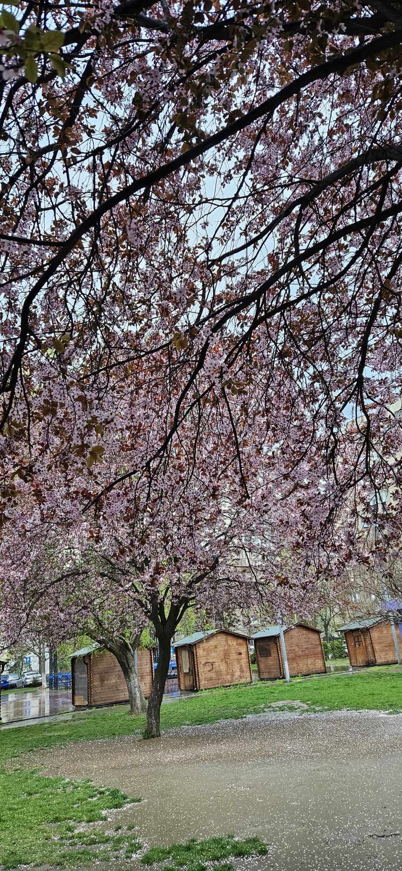 Ce poți face în București în weekend-ul 5 - 7 aprilie 2024. Iată ce ...