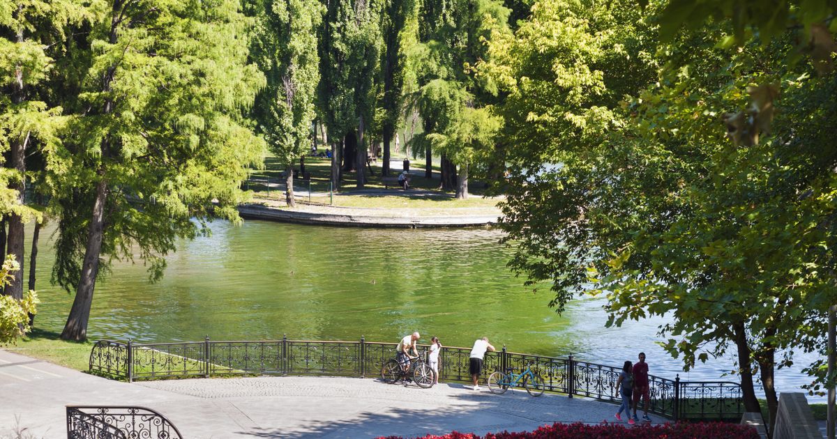 Ce activități poți face în weekend în Parcul IOR în 2024. Plimbările cu ...