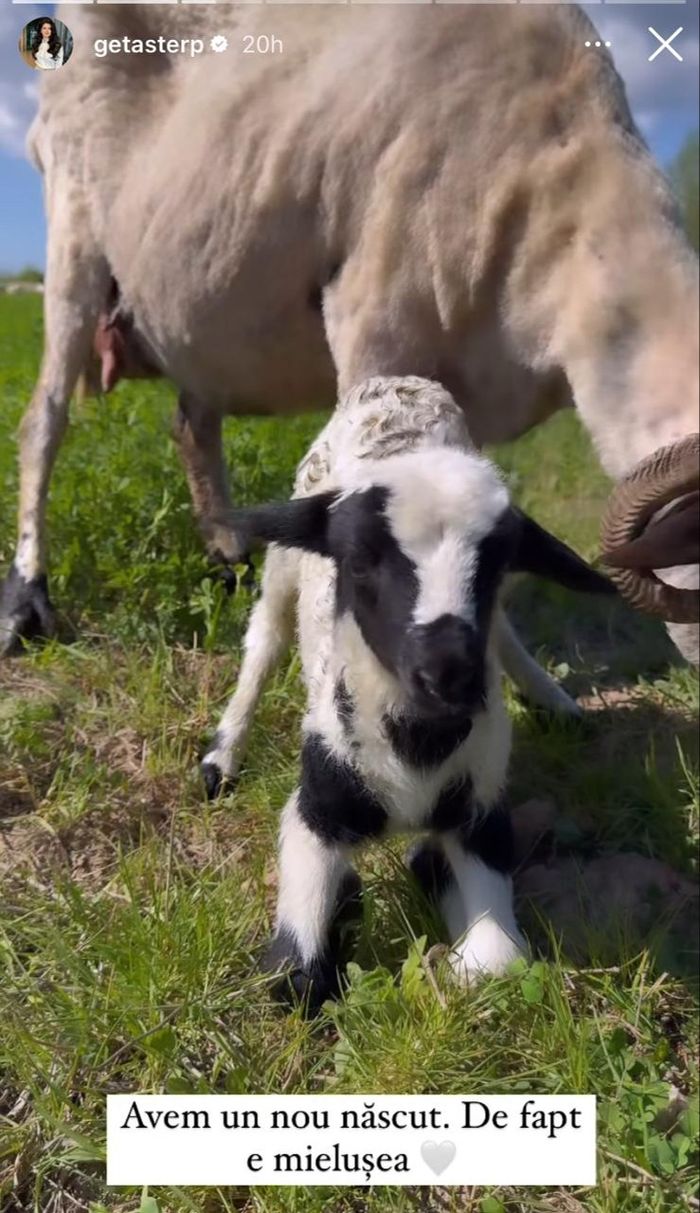 „Avem un nou-născut” Geta Sterp, veste emoționantă pentru fanii ei! A ...