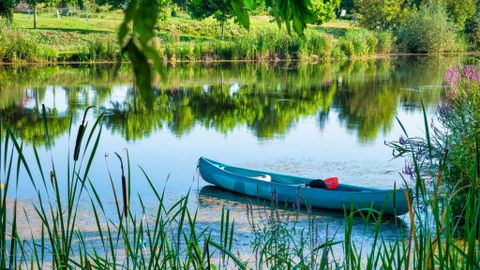 Știri Actuale și Breaking News. Informații de Ultimă Oră din România și ...