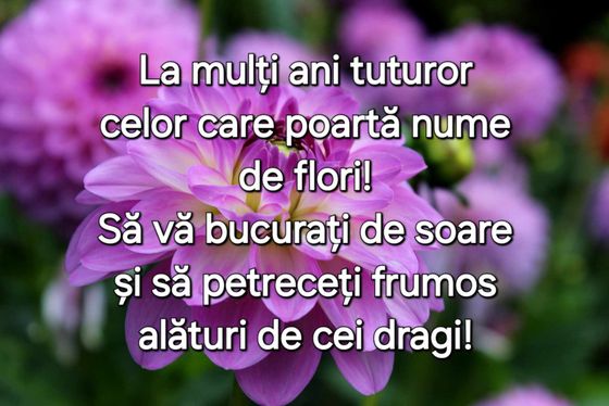 Urări de Florii 2024. Idei de mesaje pentru Floarea, Florin, Crina ...