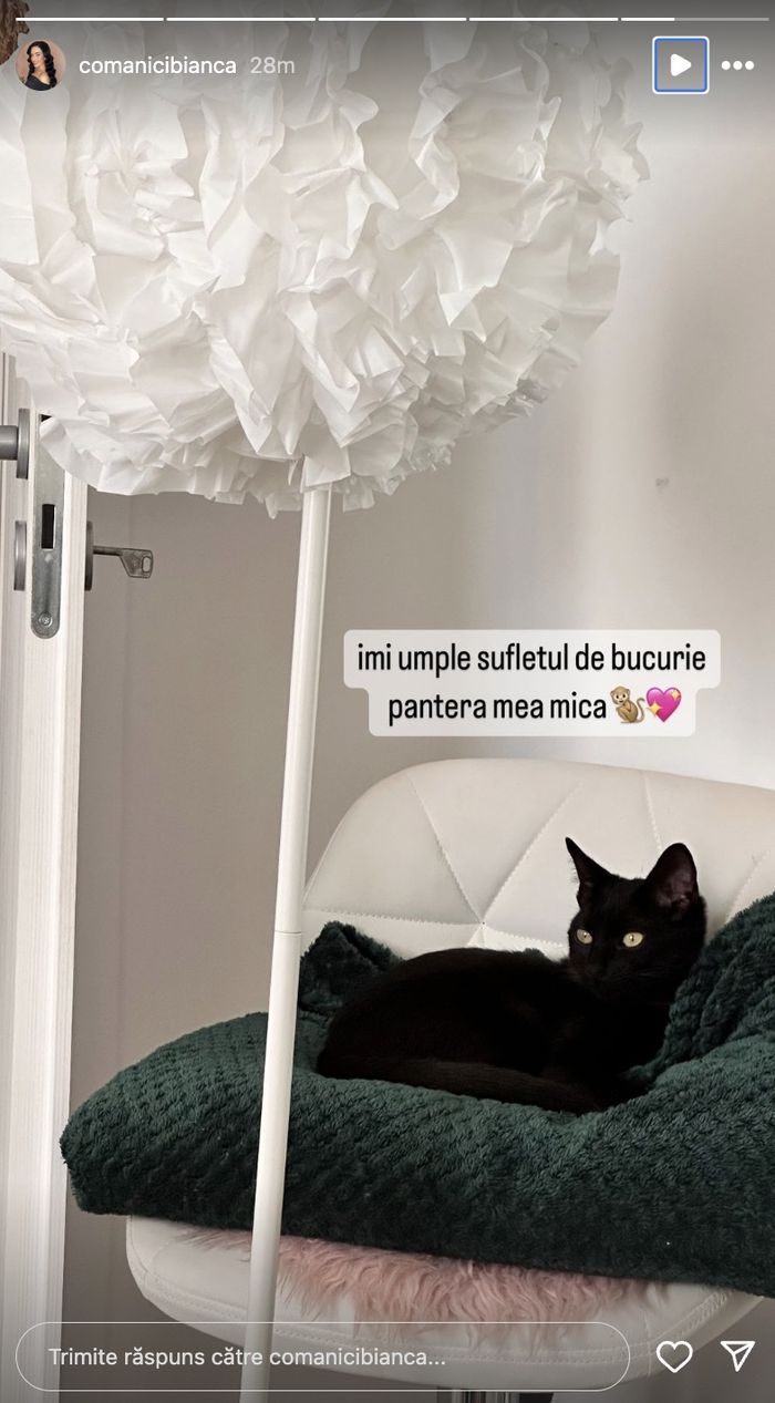 „Îmi umple sufletul de bucurie” Bianca Comănici a găsit puterea să zâmbească din nou, după ce în ...