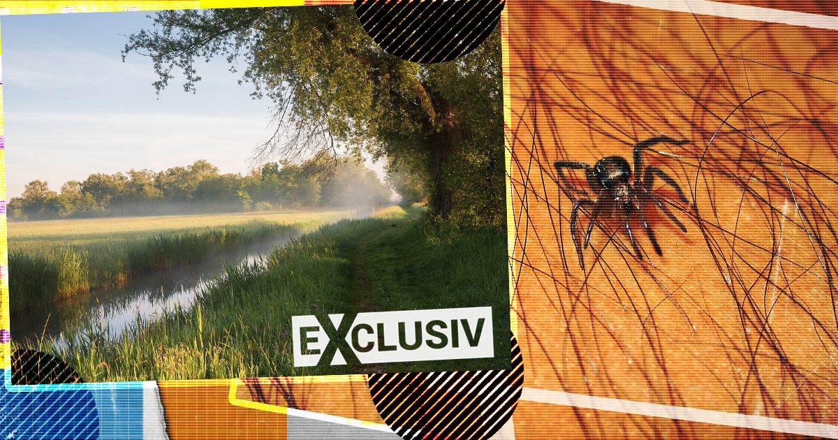 Un medic spune care sunt cele mai importante măsuri pentru a evita ...