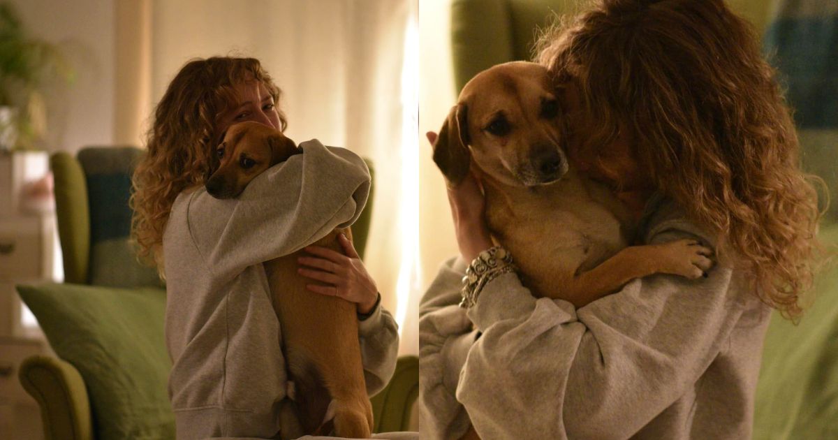 Patrocle, cel mai căutat cățel din România, a ajuns în brațele stăpânei ...