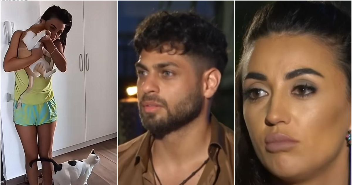 Au apărut primele imagini cu motanii Biancăi Mitroi de la Insulă! O ...