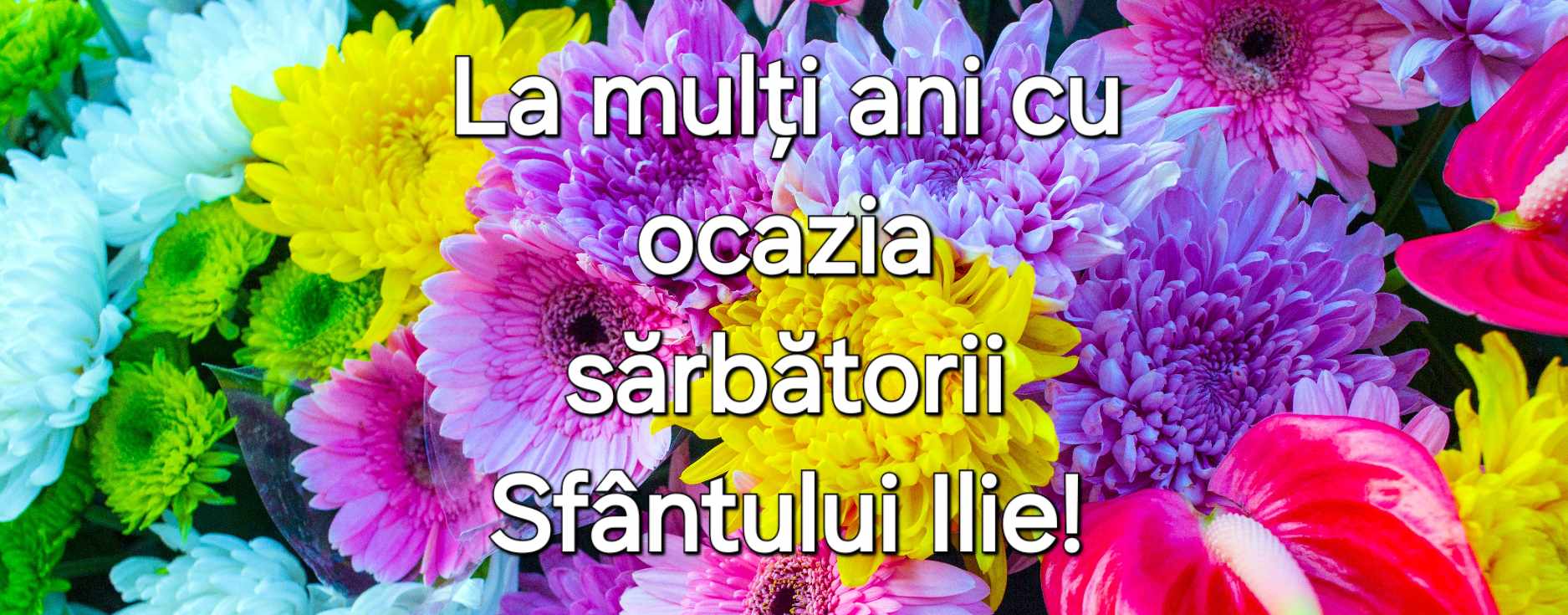 Mesaje și urări de Sfântul Ilie 2024. Poze cu text pentru Ilie, Ilinca ...