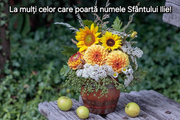 Mesaje și urări de Sfântul Ilie 2024. Poze cu text pentru Ilie, Ilinca ...