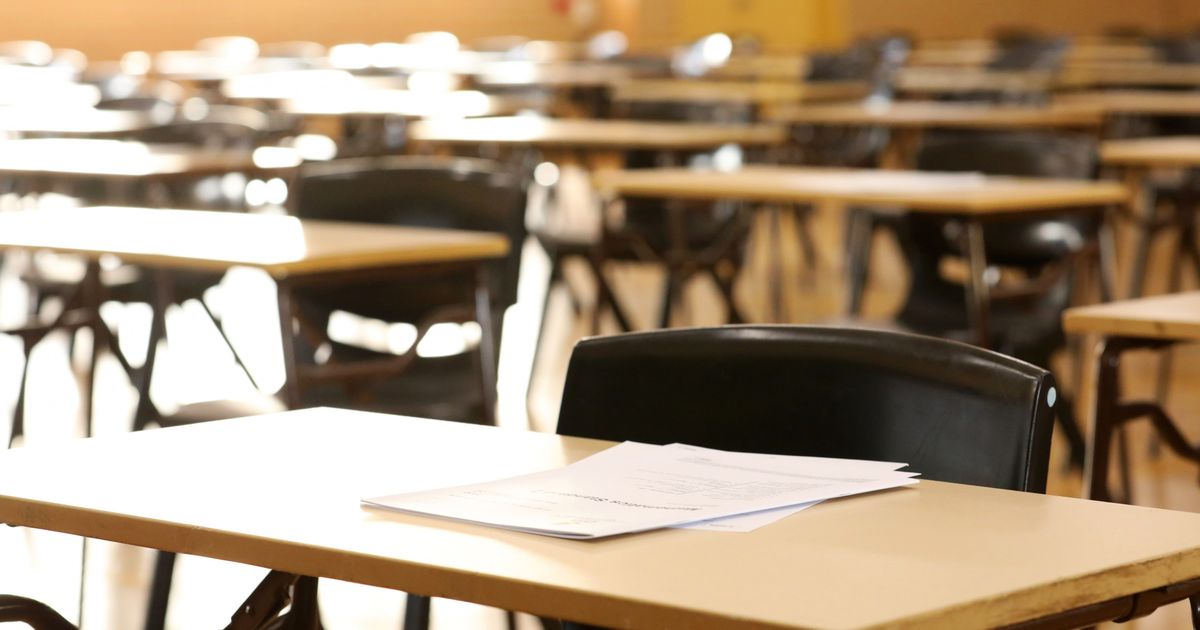 Câte vacanțe vor avea elevii în noul an școlar? Vestea venită direct de ...