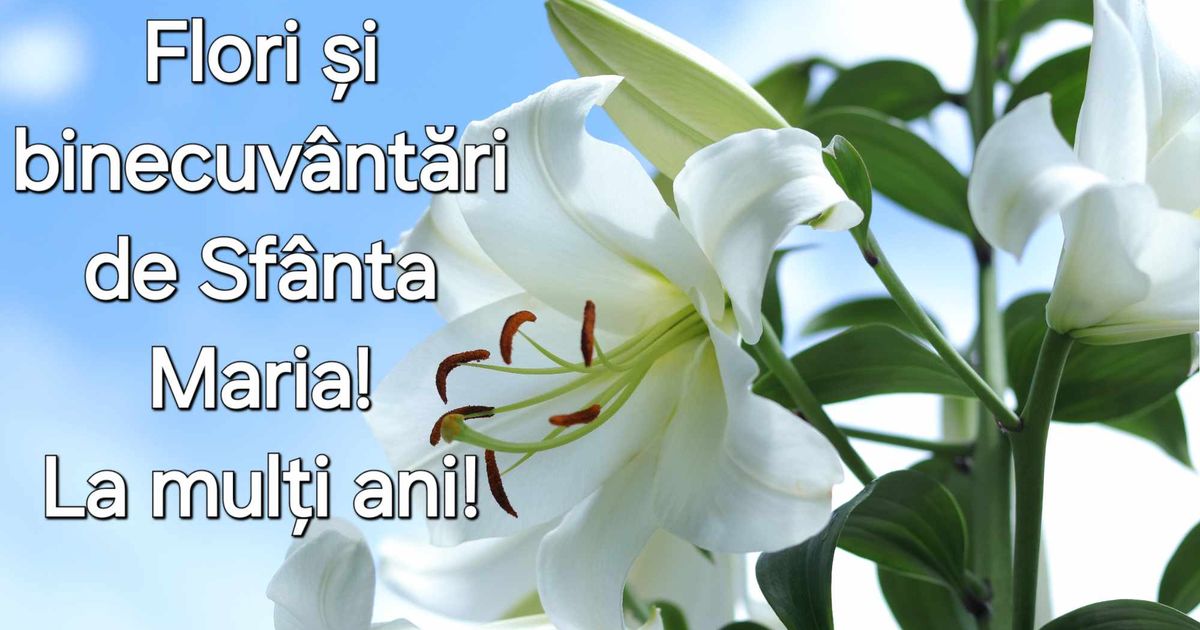Felicitări de Sfânta Maria 2024. Urări de „La mulți ani” pentru Mariana ...