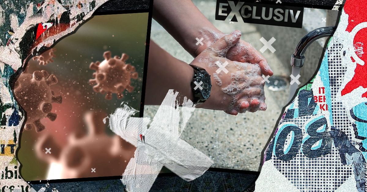 Tot ce trebuie să știm despre bacteria Neisseria Meningitidis! Medicul ...