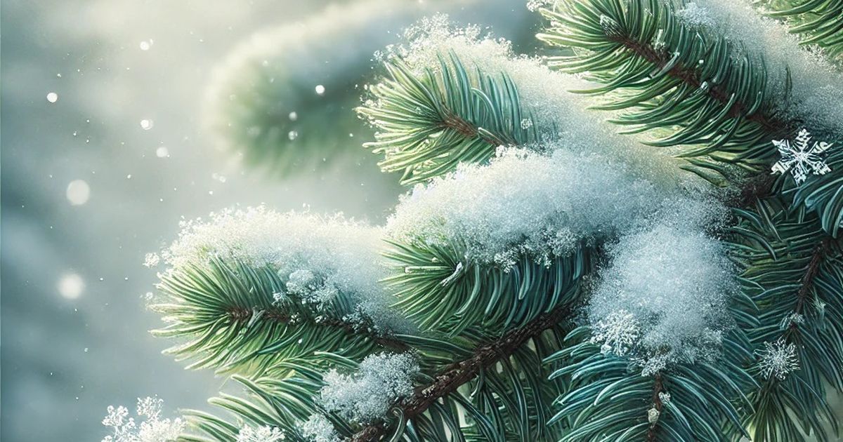 Când ninge în București - WOWBiz