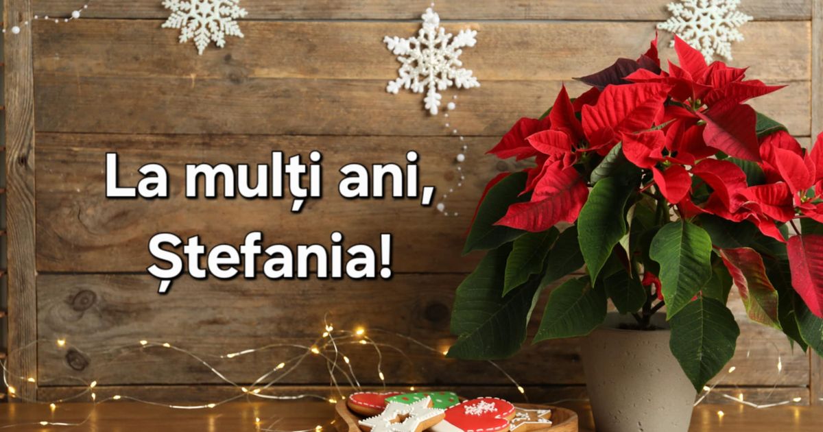 La mulți ani Ștefan și Ștefania! Cele mai frumoase urări, mesaje și SMS ...