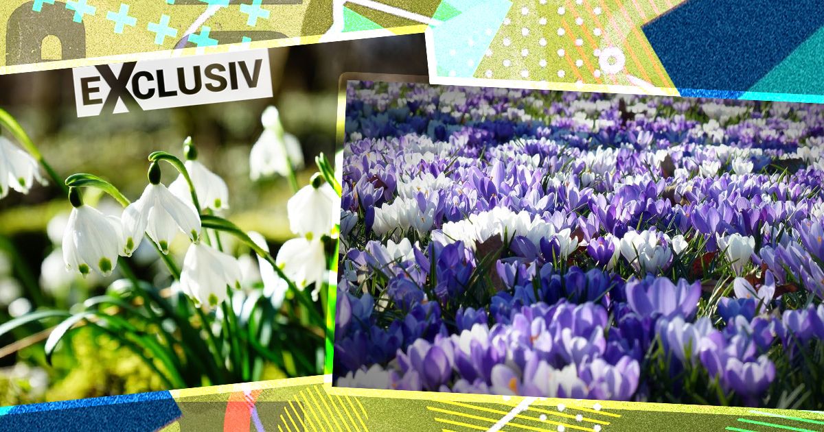 Cum va fi vremea în martie?! Meteorologii au emis prognoza pentru prima lună de primăvară! Ce se ...